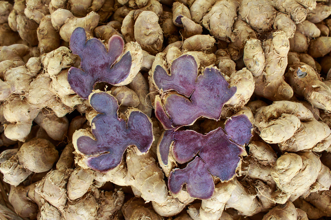 4 Ways Black Ginger Can Improve Your Workout