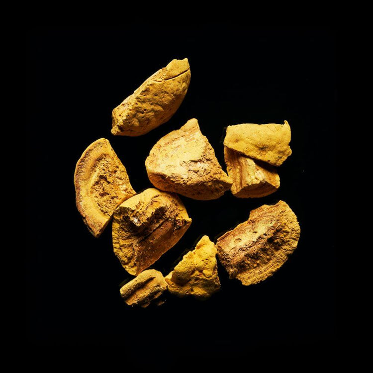 Four Health Benefits of Mesima Mushroom