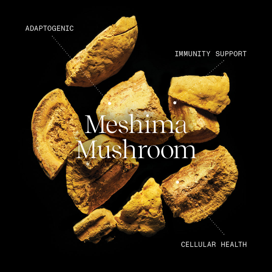 Four Health Benefits of Mesima Mushroom