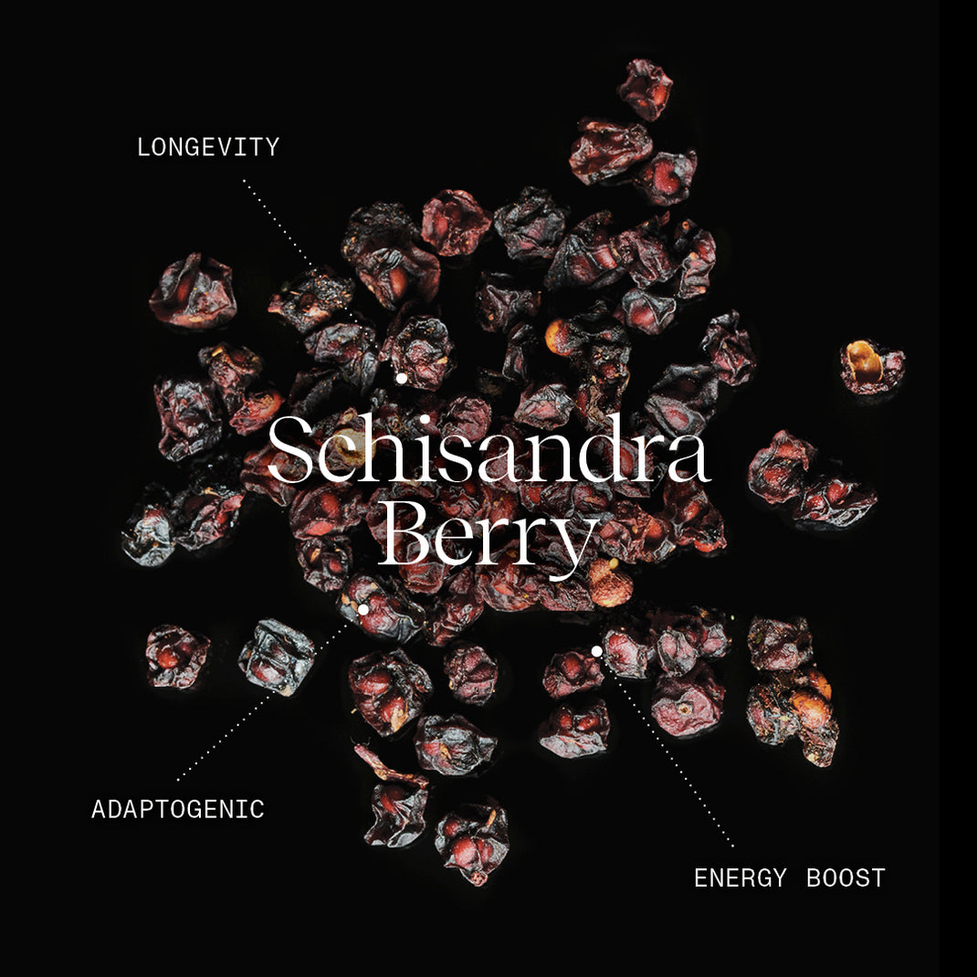 Schisandra Berry Health Benefits & History