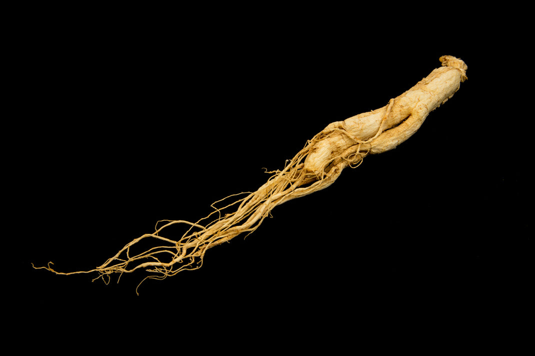 8 Powerful Health Benefits of Ginseng